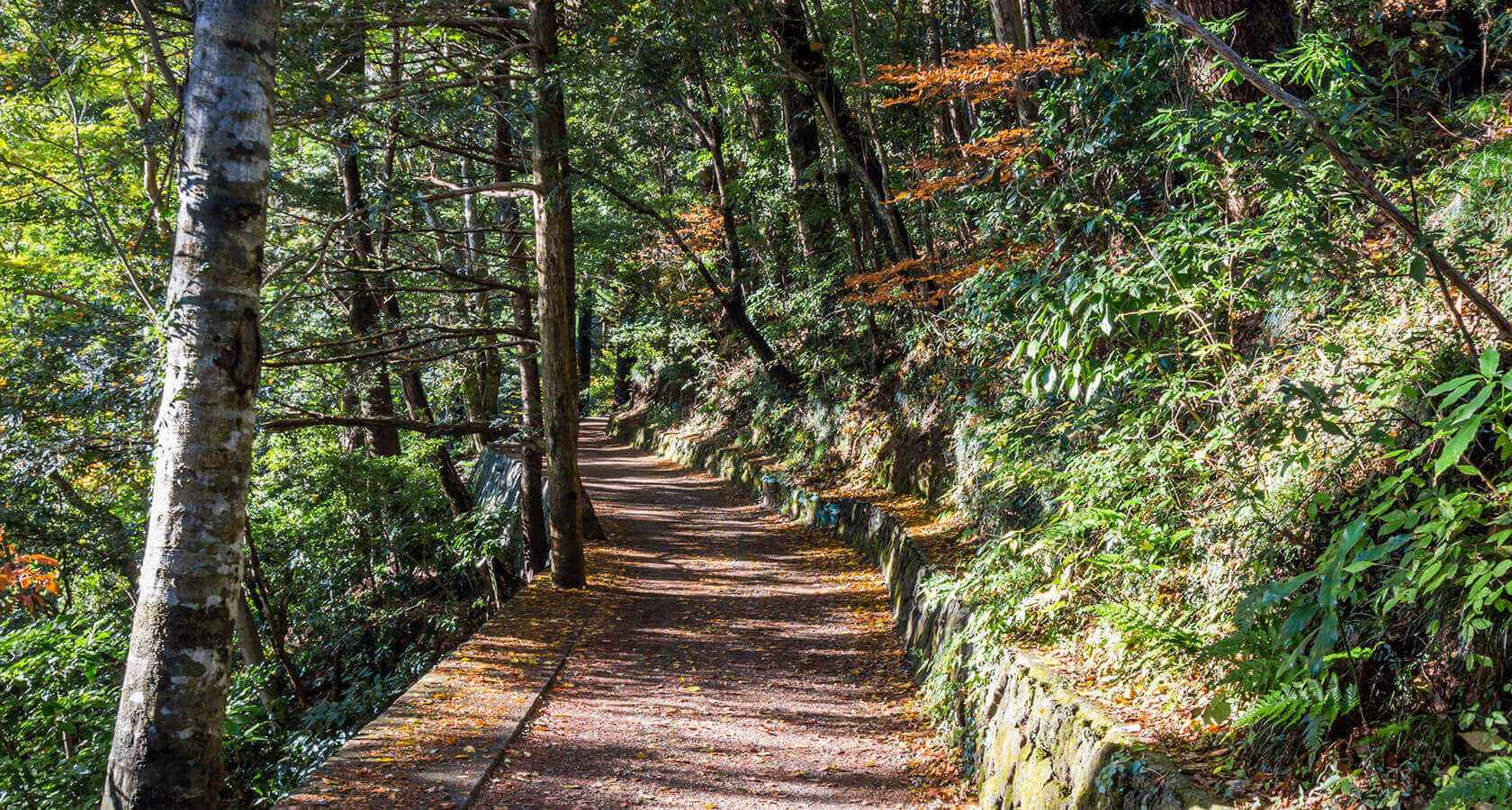 Mount Takao: Experience a Blend of Nature and Culture - Tokyo.com